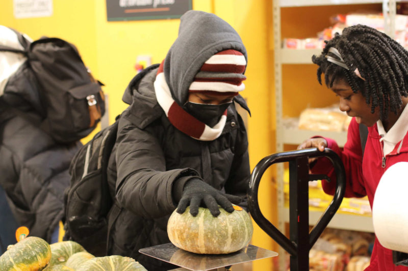 K-12 – Grow Minds Academy